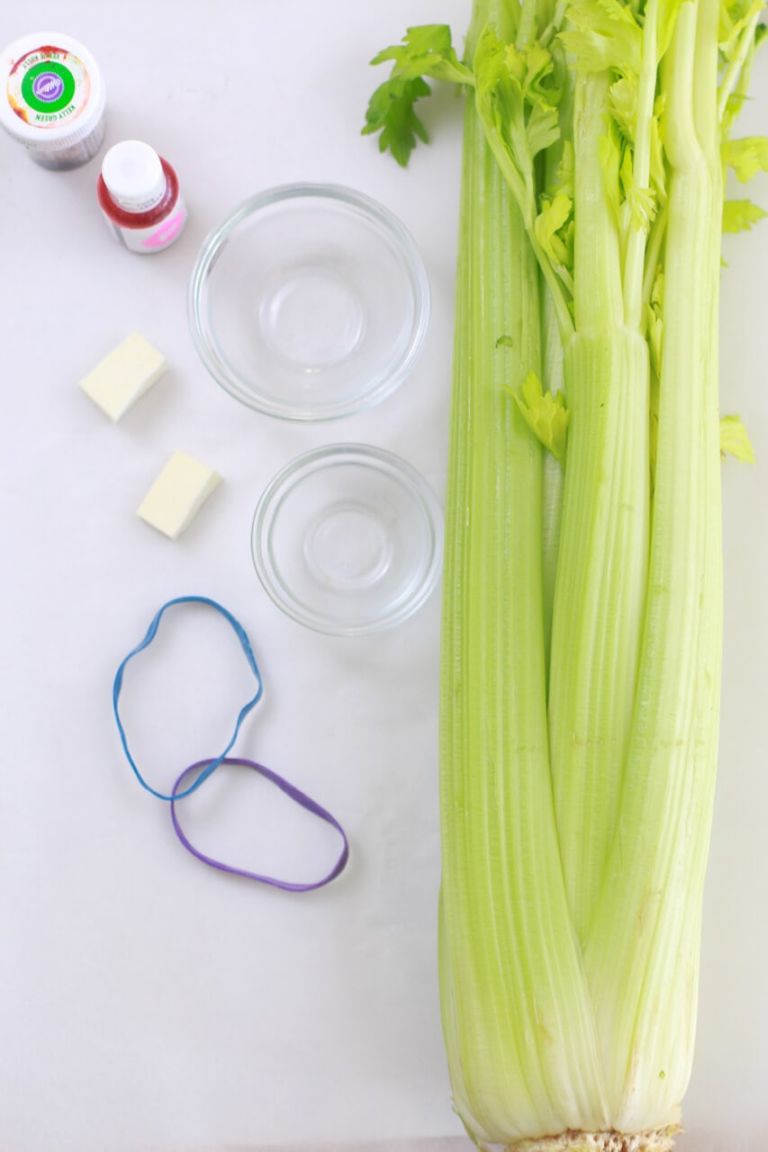 Celery Stamp Rose Painted Cake - Gemma’s Bigger Bolder Baking