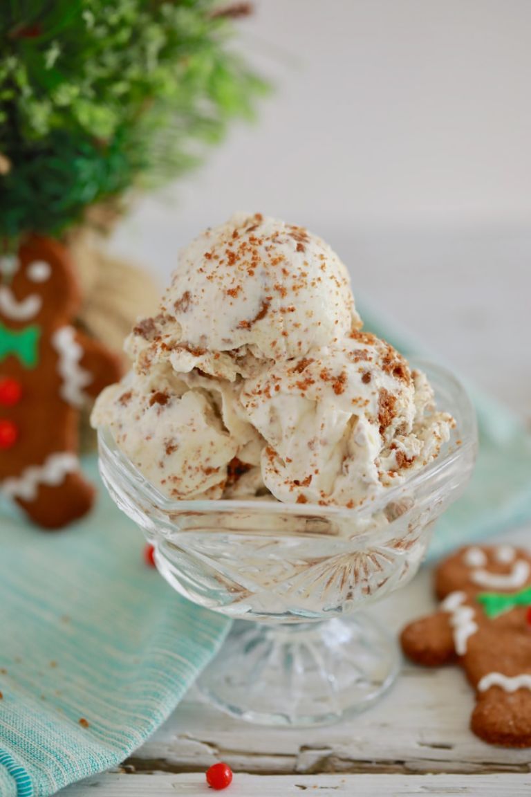 Gingerbread Cookie Ice Cream - Gemma’s Bigger Bolder Baking