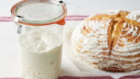 Sourdough Starter Recipe