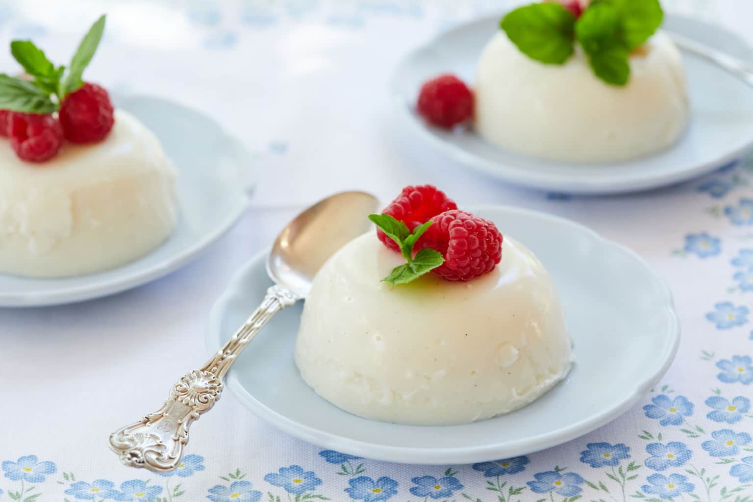 Elegant Vanilla Blancmange Recipe - Gemma’s Bigger Bolder Baking