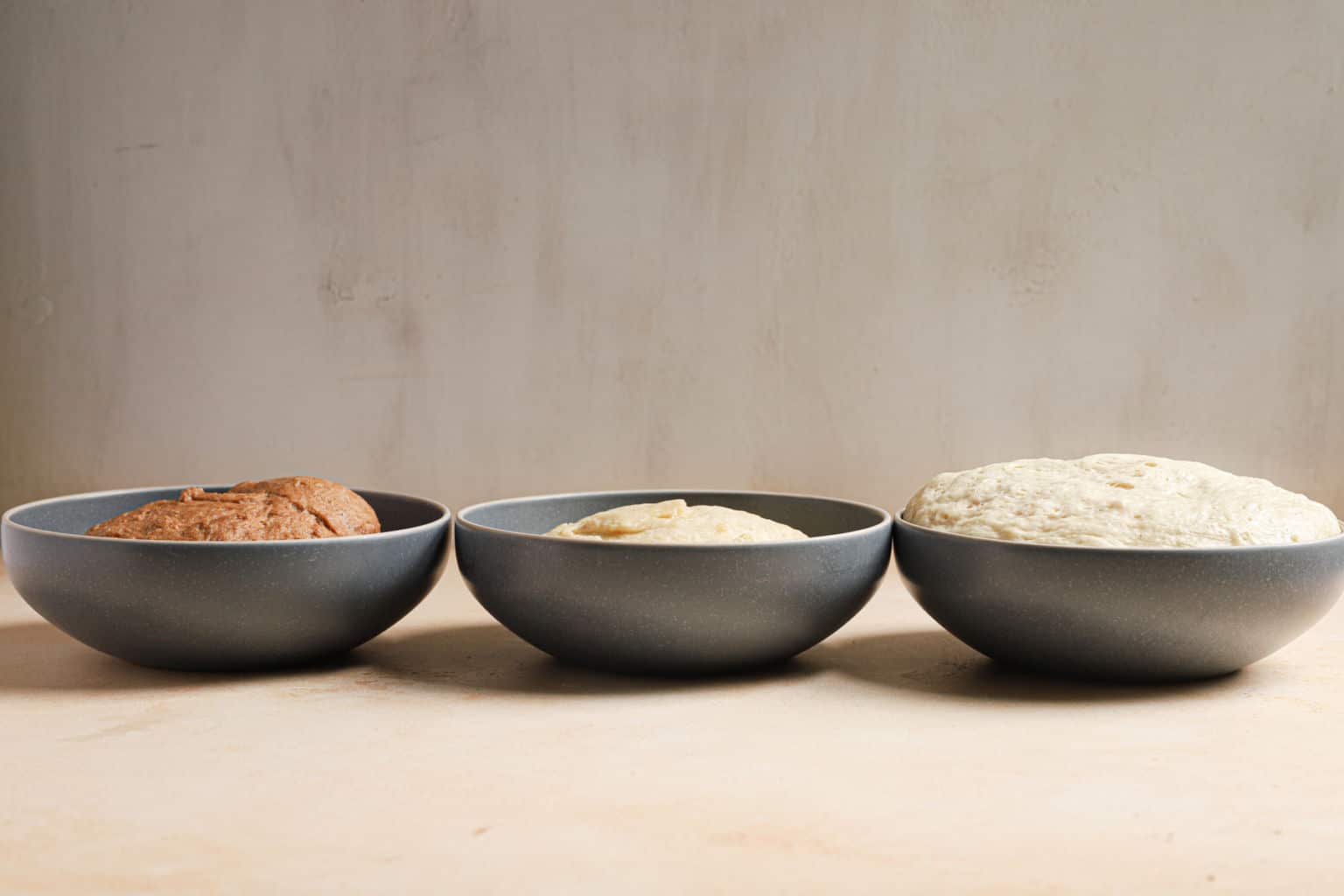 Getting Bread To Rise (And Why It Happens) | Bigger Bolder Baking