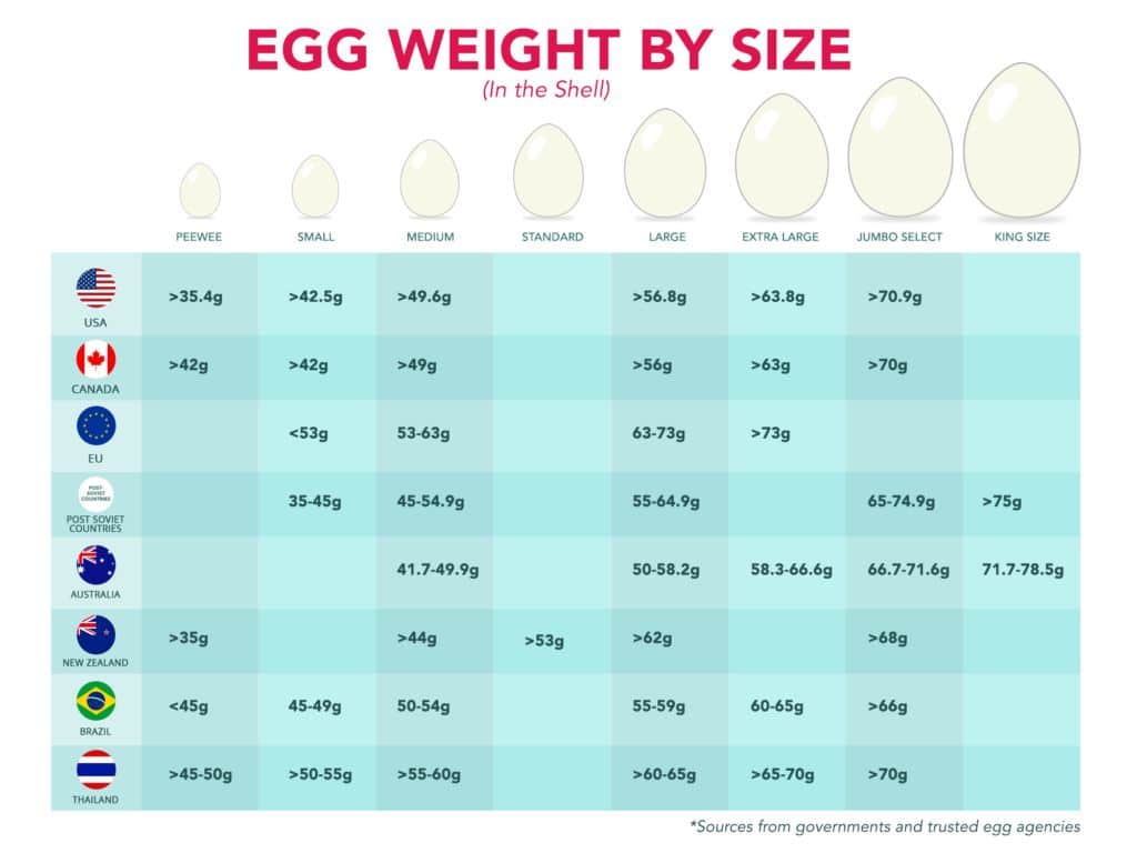 The Complete Guide to Different Egg Sizes & FREE Measurement Chart