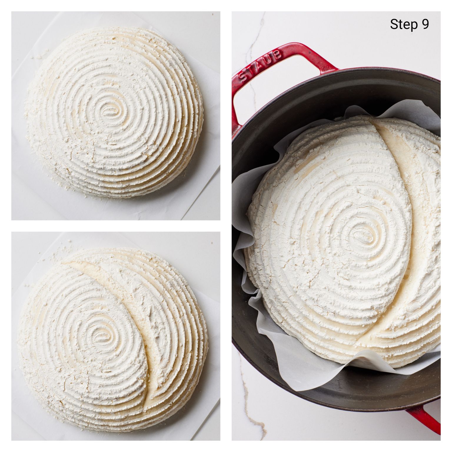 Same Day Sourdough Bread Recipe - Gemma’s Bigger Bolder Baking