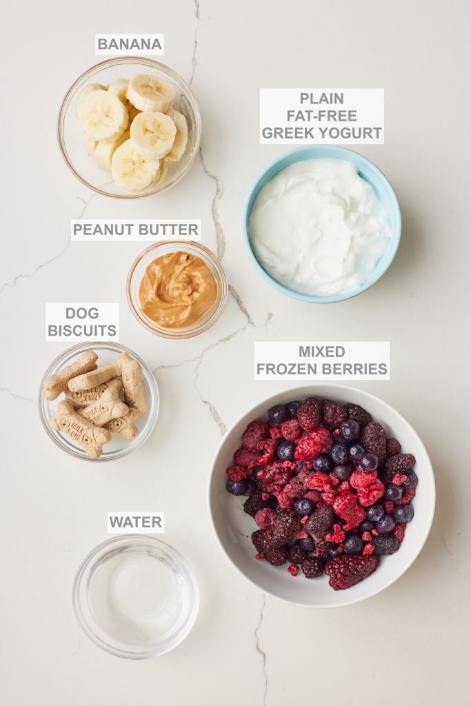 Dog Popsicles Recipe (Pupsicles)