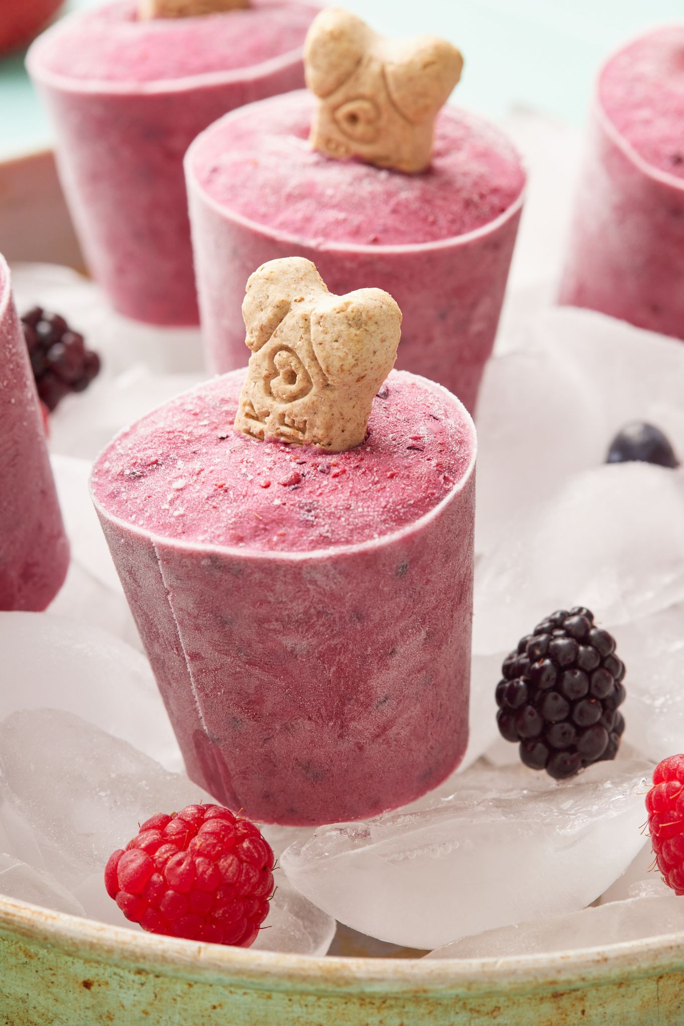 Dog Popsicles Recipe (Pupsicles)