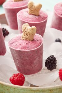 Dog Popsicles Recipe (Pupsicles)